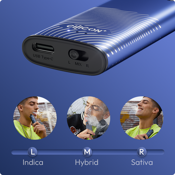 DELI DUO1: Delta-9 THC Empty Disposable Vape Box