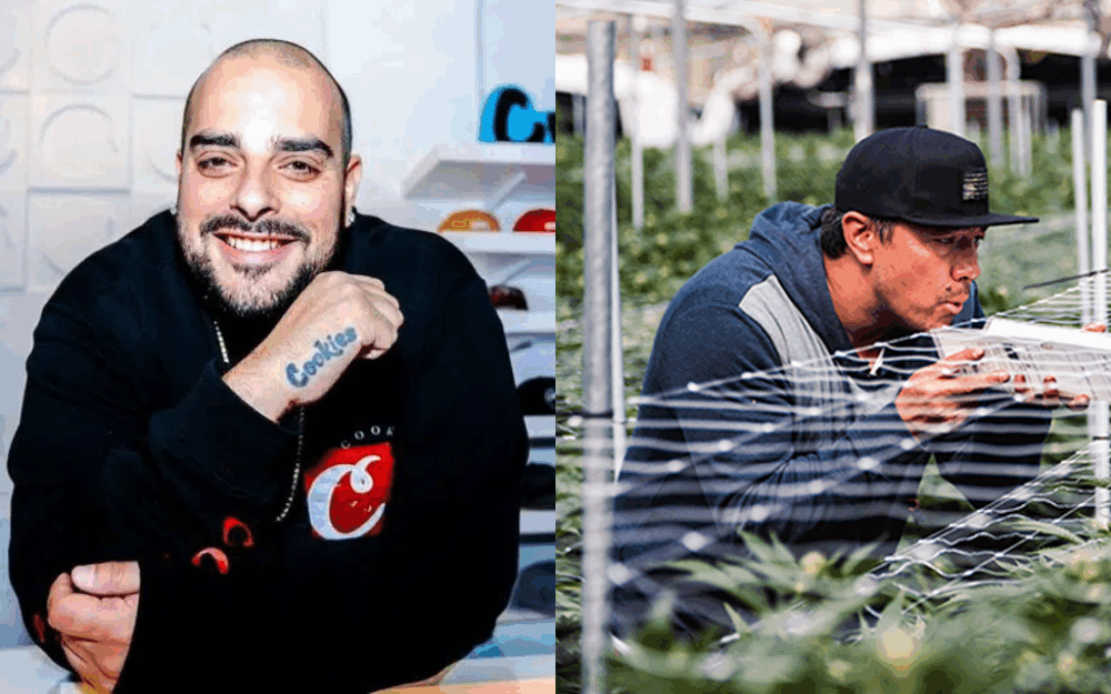 Cookies Cannabis Brand Review: Flower, Vape, Edible & Concentrate